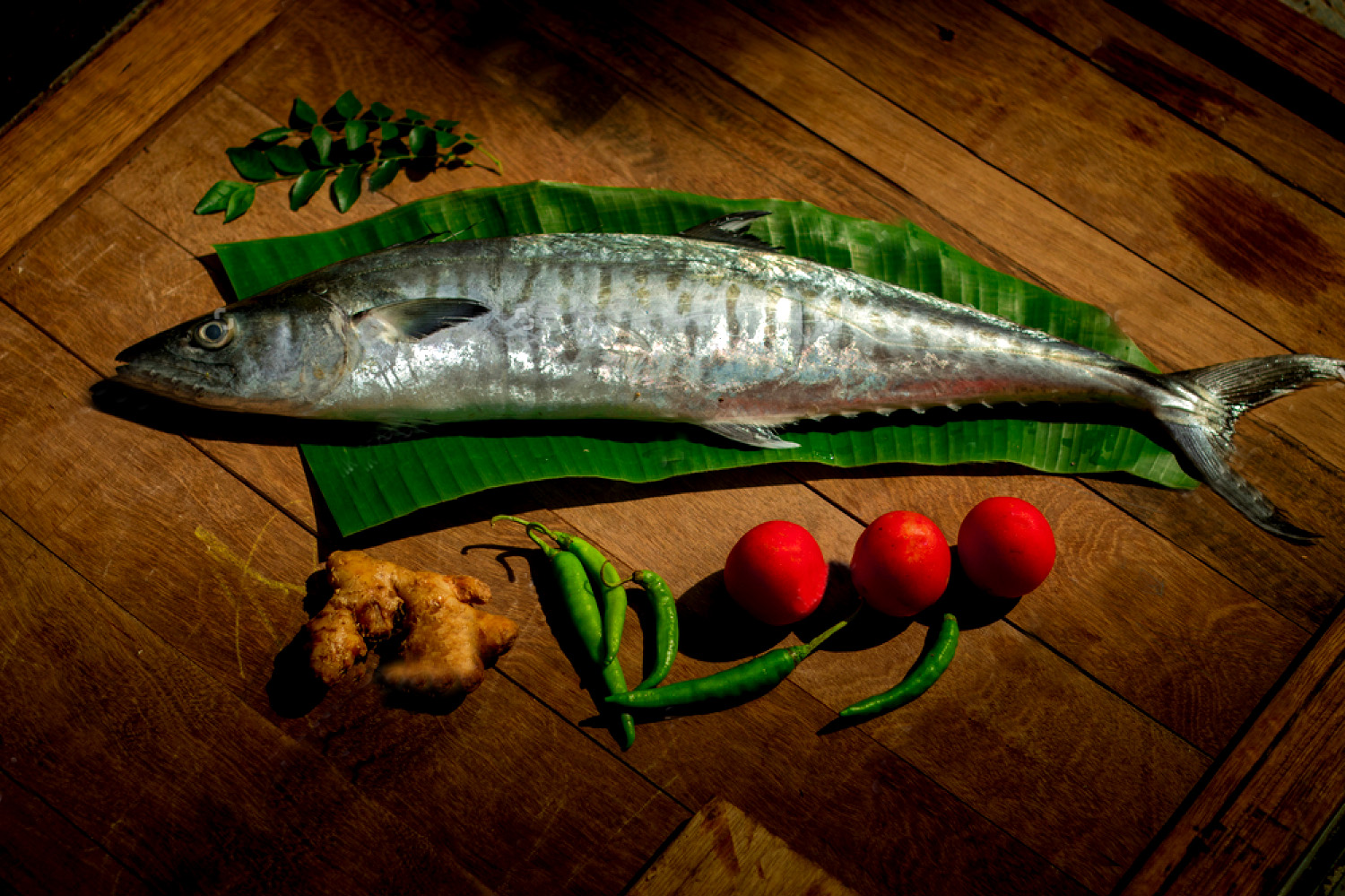 KING FISH NEYMEN AIKKURA SEER FISH Large Fresh Kerala Store